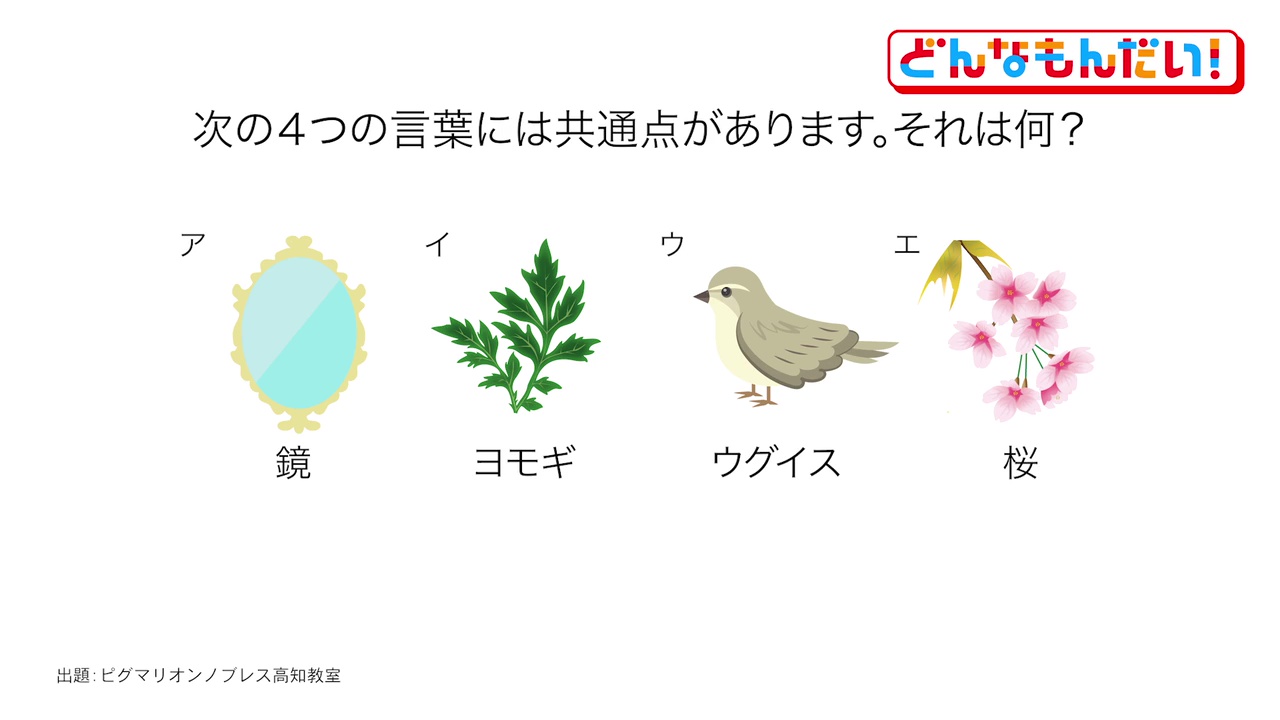 どんなもんだい ＃44 共通点を見つける問題 | KUTVテレビ高知